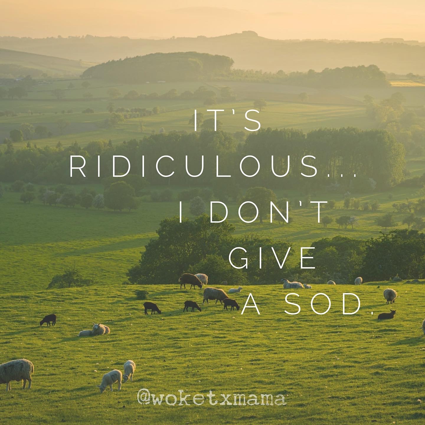 “It’s ridiculous… I don’t give a sod.” – Awake to Grace